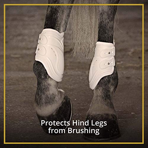 Kavallerie Dressage Horses Boots: Fleece-Lined Faux Leather Woof Brushing Boots for Training, Jumping, Riding, Eventing - Quick Wear for Breathable, Lightweight & Impact-Absorbing Wrap