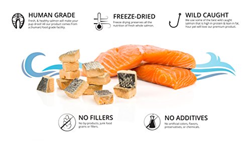 IMK9 Freeze Dried Salmon Dog Treats – High Value Training, High Protein, Natural Omega 3-6 Fish Oil – Wild Caught – 100% Pure Fish with Skin – Single Ingredient, Gluten, Grain Free – Made in The USA