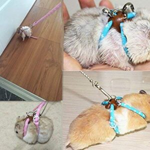 Hypeety Hamster Training Lead Leash Nylon for Hamster Rat Squirrel Gerbil Pet Cage Playhouse Leashes Band Finder Collar Bell (Blue)