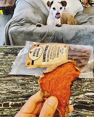 BRUTUS & BARNABY Thick Cut Sweet Potato Dog Treat Full Slices - Single Ingredient Dried Sweet Potato Dog Treats - Vegan Low Fat All Natural Dog Treats - Healthy Dog Treats with No Added Preservatives