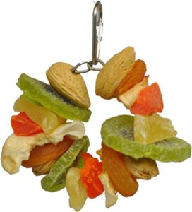 happy beaks toy deluxe fruit nut ring jr.