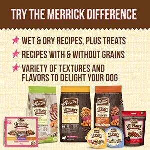 Merrick Lil' Plates Bitty Beef Recipe Grain Free Small Breed Dog Treats - 5 oz. Pouch