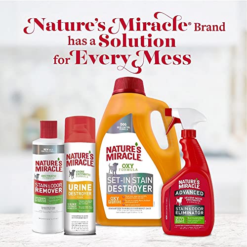 Nature's Miracle Advanced Stain and Odor Eliminator Dog for Severe Dog Messes