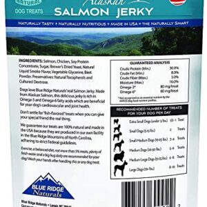 Blue Ridge Naturals (3 Pack) Oven Baked Salmon Jerky Dog Treats, 3 Pounds Total