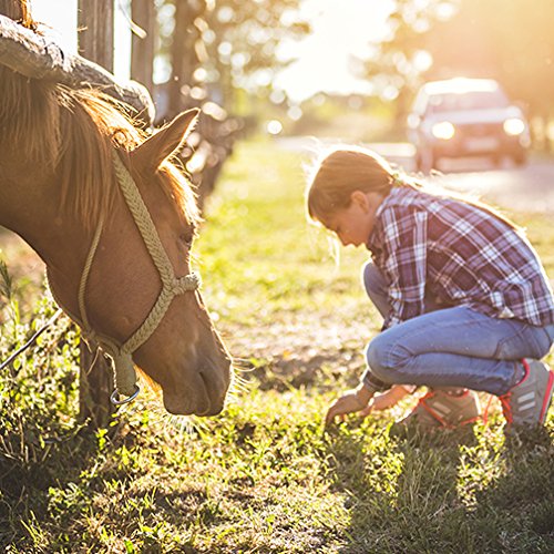 Microscope Kit for Fecal Egg Count, by Eggzamin. Accessories for Testing and How-to Guide to Test Your Animals for parasites Before deworming.