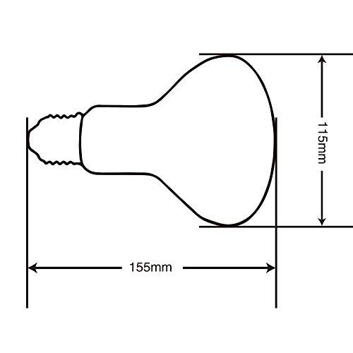 LUCKY HERP Reptile UVA UVB Mercury Vapor Bulb Lamp,Screw Thread,160 Watt (Clear)