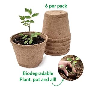 Plantation Products Jp508 Round Peat Pot, 5-Inch, 6-Pack (2)