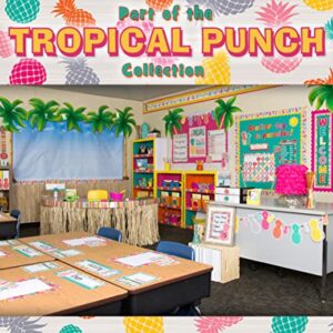 Teacher Created Resources Tropical Punch Circles Die-Cut Border Trim