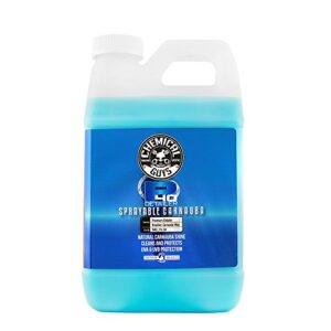 chemical guys wac_114_64 p40 detailer (64 oz), 64 fl. oz, 1 pack