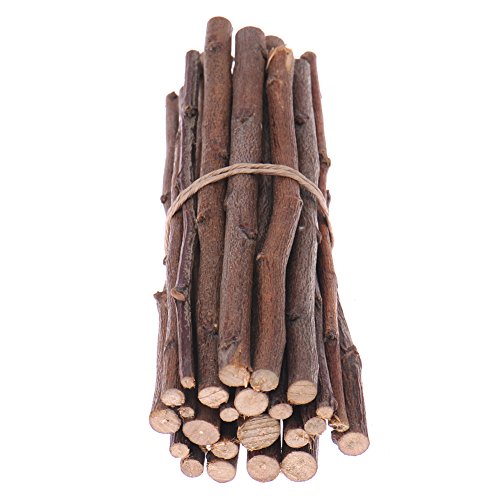 Hypeety Pet Snacks Apple Wood Sticks Chew Toy for Squirrel Rabbits Bunny Guinea Pigs Chinchilla Hamster 100g (3.5oz)