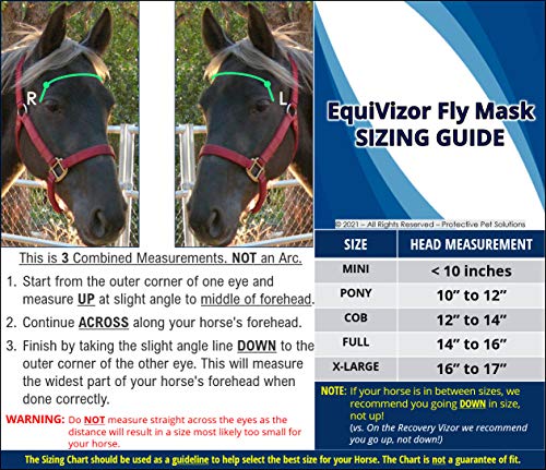 EquiVizor 95% UV Eye Protection (XL) Horse Fly Mask with Ears. Uveitis, Corneal Ulcer, Cataract, Light Sensitive, Cancer. Designed to Stay On Your Horse, Off The Ground!