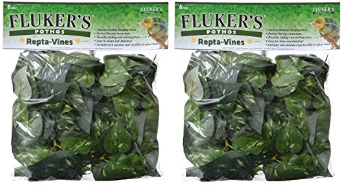 Fluker's Repta Vines-Pothos for Reptiles and Amphibians (2 Pack)