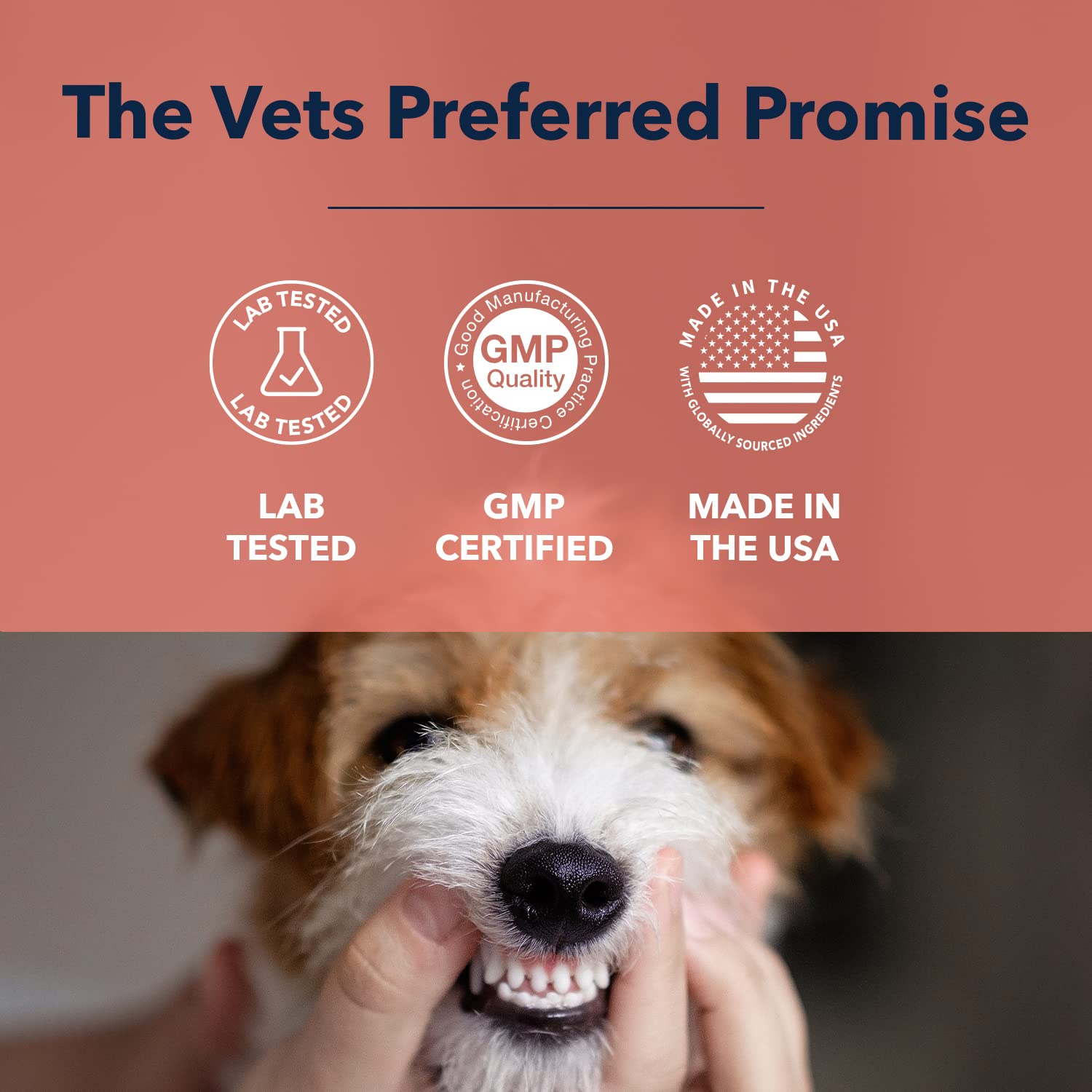 Vets Preferred Oral Care Water Additive for Dogs - Healthy Mouth Dog Breath Freshener Mouthwash - Fights Bad Breath, Removes Plaque and Tartar - Prevents Gum Disease - Mild Mint Flavor