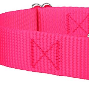 Country Brook Petz - Hot Pink Martingale Heavy Duty Nylon Dog Collar - 21 Vibrant Color Options (1 Inch Width, Medium)