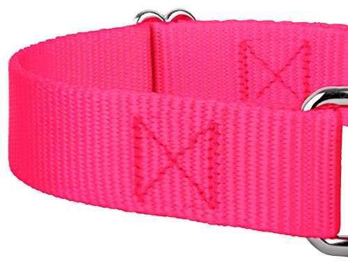 Country Brook Petz - Hot Pink Martingale Heavy Duty Nylon Dog Collar - 21 Vibrant Color Options (1 Inch Width, Medium)