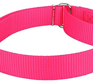 Country Brook Petz - Hot Pink Martingale Heavy Duty Nylon Dog Collar - 21 Vibrant Color Options (1 Inch Width, Medium)