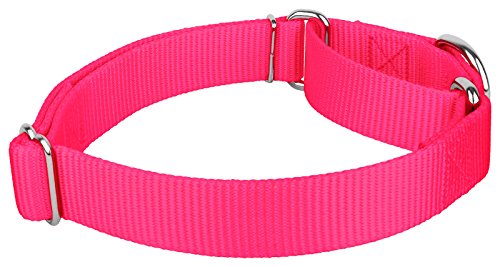 Country Brook Petz - Hot Pink Martingale Heavy Duty Nylon Dog Collar - 21 Vibrant Color Options (1 Inch Width, Medium)