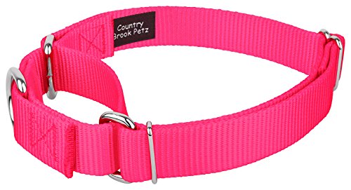 Country Brook Petz - Hot Pink Martingale Heavy Duty Nylon Dog Collar - 21 Vibrant Color Options (1 Inch Width, Medium)