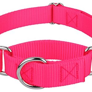 Country Brook Petz - Hot Pink Martingale Heavy Duty Nylon Dog Collar - 21 Vibrant Color Options (1 Inch Width, Medium)