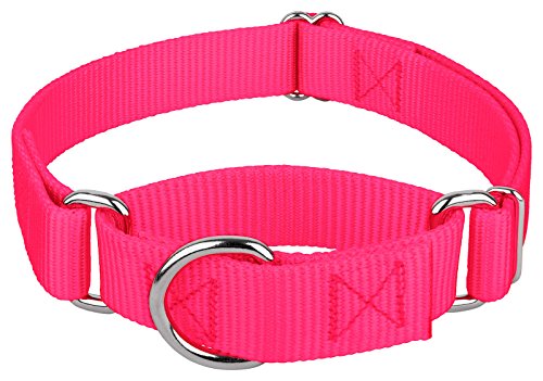 Country Brook Petz - Hot Pink Martingale Heavy Duty Nylon Dog Collar - 21 Vibrant Color Options (1 Inch Width, Medium)