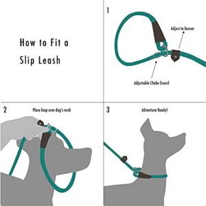 Friends Forever Extremely Durable Dog Rope Leash, Premium Quality Training Slip Lead, Reflective, Thick Heavy Duty, Sturdy, No Pull, Comfortable For The Strong Large Medium Small Pets 6 feet, Blue