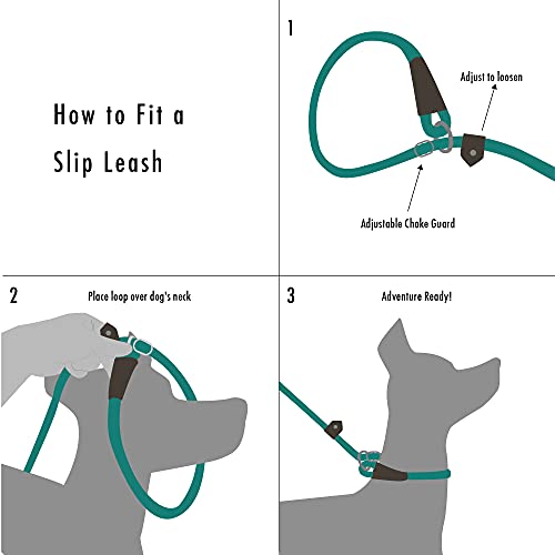 Friends Forever Extremely Durable Dog Rope Leash, Premium Quality Training Slip Lead, Reflective, Thick Heavy Duty, Sturdy, No Pull, Comfortable For The Strong Large Medium Small Pets 6 feet, Blue