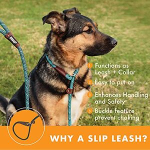 Friends Forever Extremely Durable Dog Rope Leash, Premium Quality Training Slip Lead, Reflective, Thick Heavy Duty, Sturdy, No Pull, Comfortable For The Strong Large Medium Small Pets 6 feet, Blue