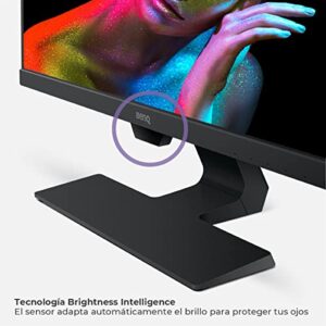 BenQ GW2480 Computer Monitor 24" FHD 1920x1080p | IPS | Eye-Care Tech | Low Blue Light | Anti-Glare | Adaptive Brightness | Tilt Screen | Built-In Speakers | DisplayPort | HDMI | VGA,Black