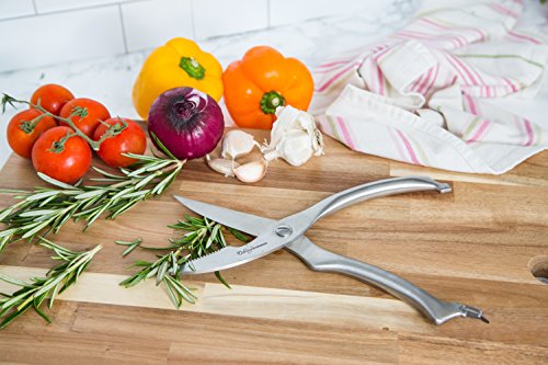 Knife Block Set - 17 Pieces - Includes Solid Wood Block, 6 Stainless Steel Kitchen Knives, Set of 8 Serrated Steak Knives, Heavy Duty Poultry Shears, and a Carbon Steel Sharpening Rod