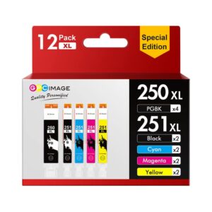 gpc image compatible ink cartridge replacement for canon 250 251 pgi-250xl cli 251xl to use with mx922 mx920 pixma mg7520 ip8720 mg5520 ix6820 printer (4 pgbk,2 black,2 cyan,2 magenta,2 yellow)