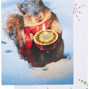 Avanti 10-Count Christmas Cards, Little Squirrel with a Candle