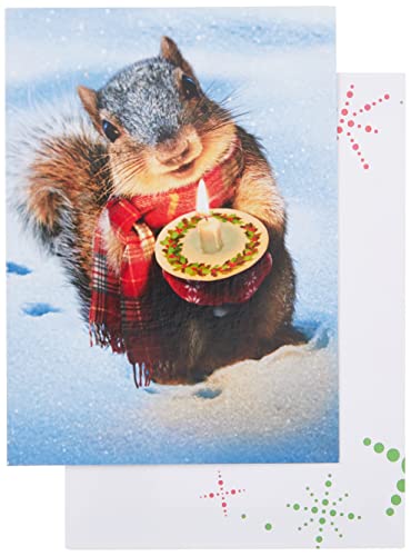 Avanti 10-Count Christmas Cards, Little Squirrel with a Candle