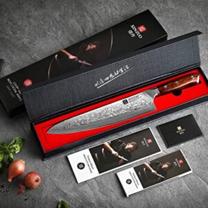 XINZUO 10 Inch Damascus Chef Knife Kitchen Knife Sharp Gyuto Knife Stainless Steel Fashion Professional Chef's Knife with Rosewood Handle