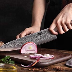 XINZUO 10 Inch Damascus Chef Knife Kitchen Knife Sharp Gyuto Knife Stainless Steel Fashion Professional Chef's Knife with Rosewood Handle