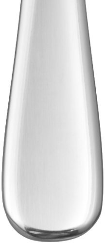 Amazon Basics Stainless Steel Dinner Spoons with Round Edge, Pack of 12, Silver