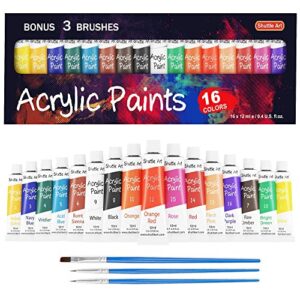 shuttle art acrylic paint set, 16 x12ml tubes artist quality non toxic rich pigments colors great for kids adults professional painting on canvas wood clay fabric ceramic crafts