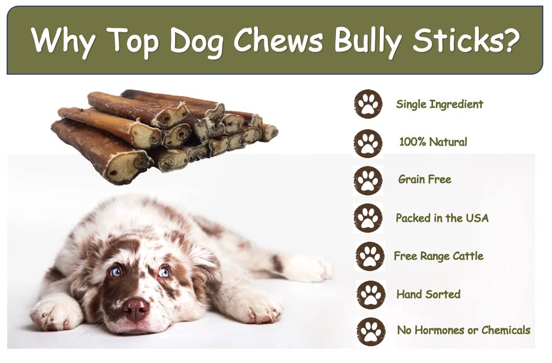 Top Dog Chews - 6" Bully Sticks - All Natural from Free Ranging Beef - 25 Pack