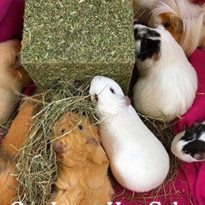 Rosewood Naturals ‘I Love Hay’ Forage Cube, Treat & Toy for Small Animals, Large