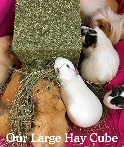 Rosewood Naturals ‘I Love Hay’ Forage Cube, Treat & Toy for Small Animals, Large