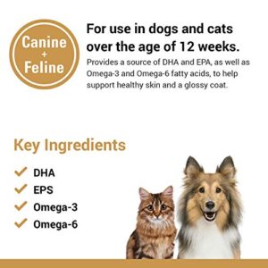 Vet Classics Salmon Oil Pet Supplement for Healthy Skin, Glossy Coats – Dog Coat Supplement, Cat Skin Supplement – Includes Omega-3, 6, 9, Source of DHA, EPA – Soft Chews 90 Ct.