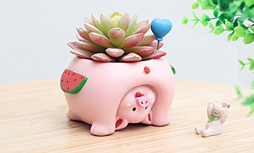 Youfui Cute Animal Flowerpot Animal Resin Succulent Planter Desk Mini Ornament (Pig)