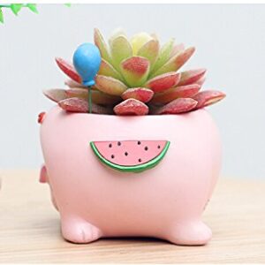 Youfui Cute Animal Flowerpot Animal Resin Succulent Planter Desk Mini Ornament (Pig)