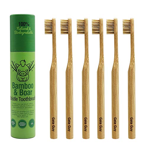 Gaia Guy Natural Bristle Bamboo Toothbrush (NO Nylon - Boar Hair ONLY) - Totally Compostable & Biodegradable Boar Bristle and Bamboo Toothbrushes - Zero Waste - 6-Pack