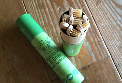 Gaia Guy Natural Bristle Bamboo Toothbrush (NO Nylon - Boar Hair ONLY) - Totally Compostable & Biodegradable Boar Bristle and Bamboo Toothbrushes - Zero Waste - 6-Pack