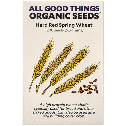 Hard Red Spring Wheat Seeds - Pack of 200, Certified Organic, Non-GMO, Open Pollinated, Untreated Vegetable Seeds for Planting – from USA