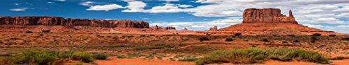 Reptile Habitat Background; Monument Valley Merrick Butte for 20L, 3-Sided Wraparound