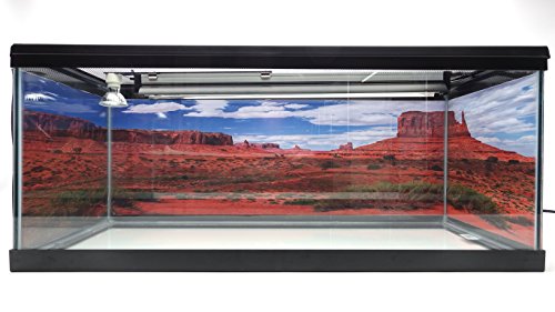 Reptile Habitat Background; Monument Valley Merrick Butte for 20L, 3-Sided Wraparound