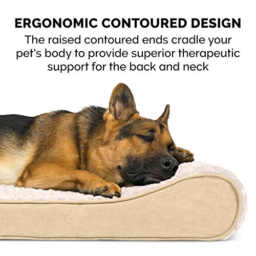 Furhaven Orthopedic Dog Bed for Large Dogs w/ Removable Washable Cover, For Dogs Up to 75 lbs - Ultra Plush Faux Fur & Suede Luxe Lounger Contour Mattress - Cream, Jumbo/XL