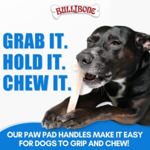 Bullibone Nylon Dog Chew Toy Nylon Bone - Improves Dental Hygiene, Easy to Grip Bottom, and Permeated with Flavor (Bacon, Large - 2 Pack)