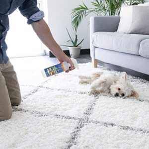 Absolutely Clean Carpet and Upholstery Shampoo, Stain Remover and Leather Cleaner, Remove Stains in 60 s, Cleans Over 300 sq. ft.